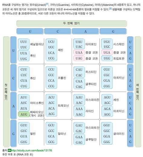 리보솜과 Start Codon 메티오닌의 이해를 위해 생리학 생화학 치료적 맞춤운동 비타미네 영성 연구소