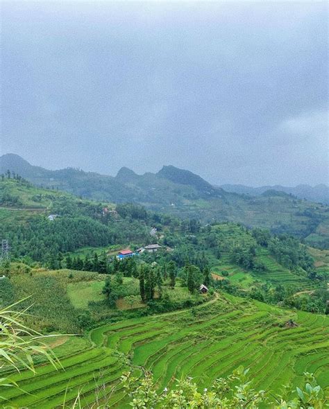 Vi Vu Xã Tả Củ Tỷ Bắc Hà Săn Mây Kết Hợp Khám Phá Vùng đất ‘nương Lúa