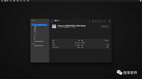 黑苹果安装完成后重启进不去系统黑苹果 Macos Big Sur 安装过程详细指导 Csdn博客