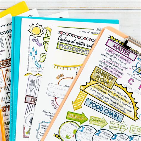 Life Science Ngss At Sam Moonlight Blog