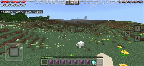 Beautiful Build Site With A Skeleton Spawner Decently Close By R Minecraftseeds