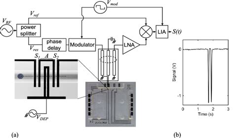 A Schematic Of The Microwave Interferometer System Used To Measure