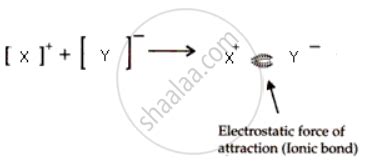 Elements X And Y Have The Following Configurations Chemistry Shaalaa Com