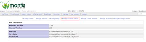 How To Create A Custom Field In MantisBT Letzdotesting