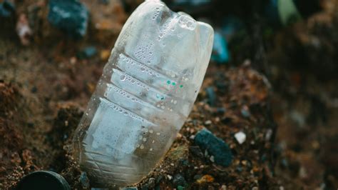 Glass Vs Plastic Environmental Impact Explained