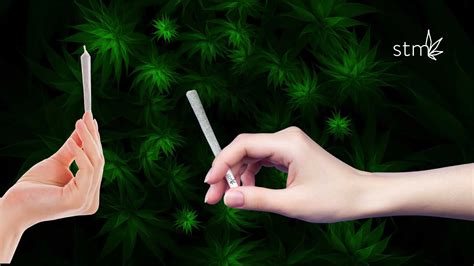 Hand Rolled Joints Vs Machine Rolled Joints Stm Canna
