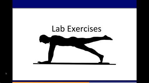 IEE 475 Lab 5 Part 3 Lab Exercise Instructions YouTube