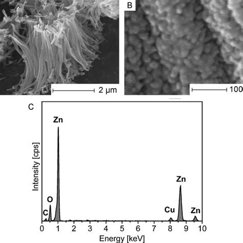 Sem Visualisation Of Aligned Cu Doped Zno Nanorods A After Download Scientific Diagram