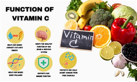 Vitamin C Benefits And Safe Supplementation Guide