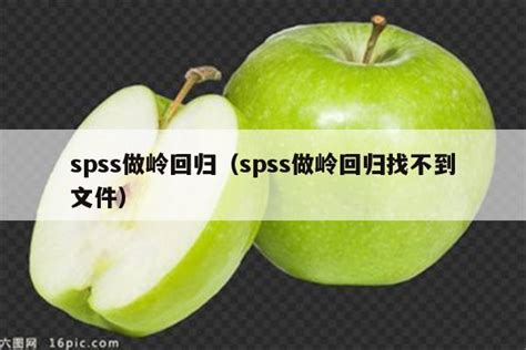 Spss做岭回归（spss做岭回归找不到文件） 卓智网络工作室
