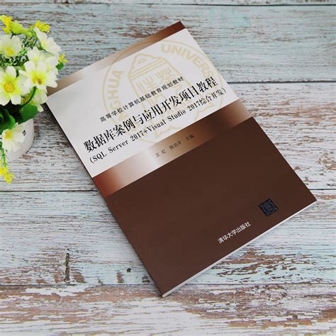 官方正版数据库案例与应用开发项目教程清华大学出版社王红计算机科学技术关系数据库系统 虎窝淘