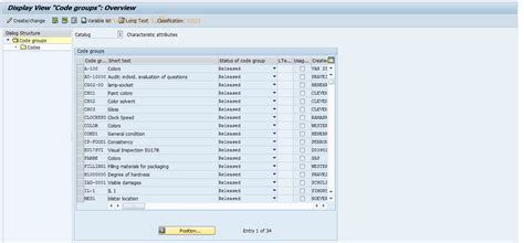 Qs A Sap Tcode Display Catalog