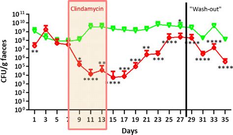 Total Bifidobacterium Cfu G Faecal Plating For Mice Treated With