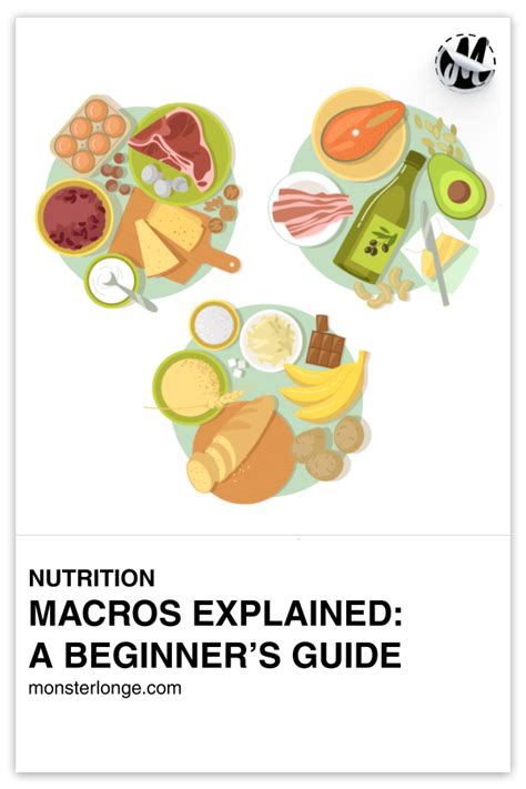 Macros Explained A Beginners Guide Monster Longe