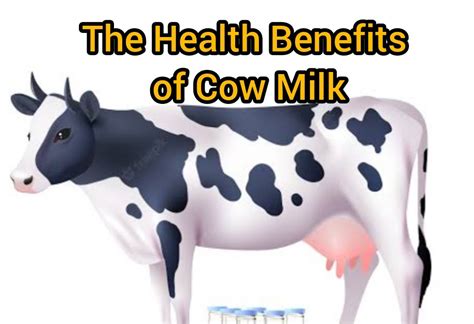 Baba Classtech The Health Benefits Of Cow Milk