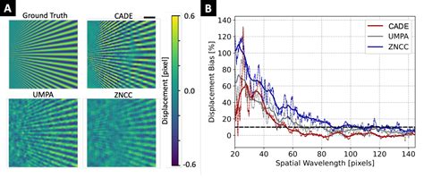 Figure From Convolutional Neural Network Based Single Shot Speckle Tracking For X Ray Phase