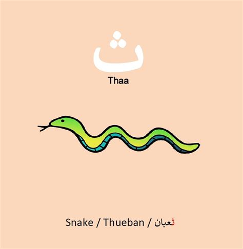 Arabic Alphabet Book My First Arabic Alphabet Picture Book