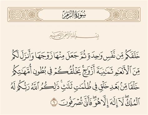 Ayat He Created You All From A Single Person Adam Then Made From