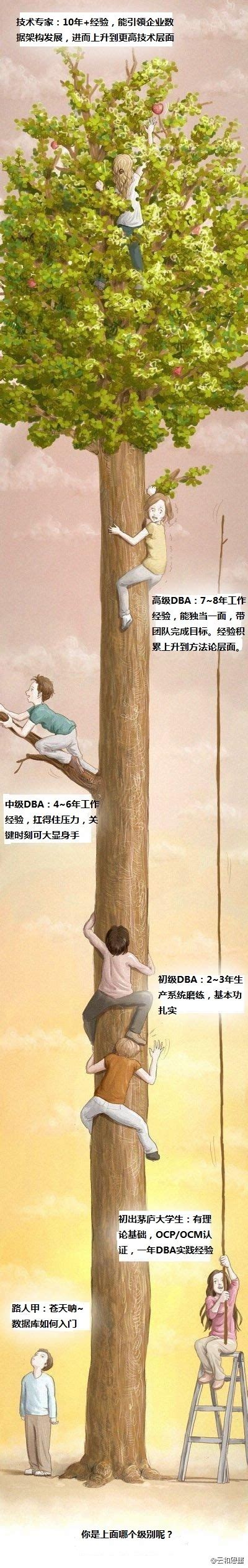 oracle dba的学习进阶成长树 从初出茅庐到高瞻远瞩 oracle life mogdb 成为国产数据库第一品牌！
