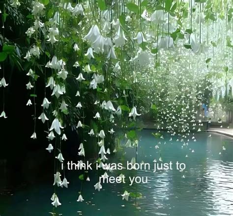 Pin By Meet Me At Blue Diner On Sotce Core Unspoken Words Pretty