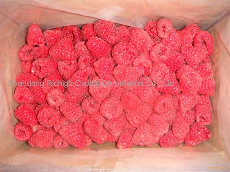 Iqf Frozen Raspberry China Price Supplier 21food