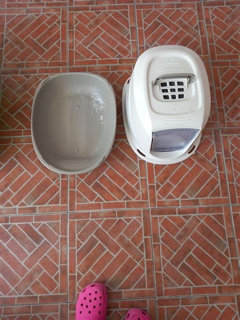 Animais Acess Rias Para Gatos Loures Olx Portugal