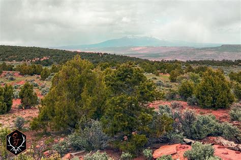 Utah Properties St James Sporting Properties