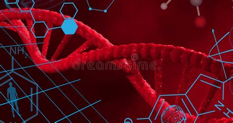 Animation Of Chemical Structures Over Caucasian Male And Female