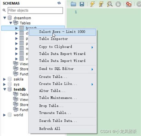 Mysql Workbench基本操作及常见报错解决方案workbench显示脚本错误 Csdn博客