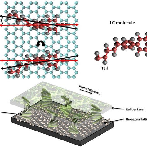 Schematics Of Liquid Crystal Alignment On Hexagonal Lattice A