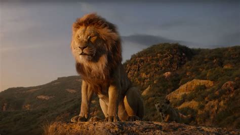 Il Re Leone La Recensione Del Classico Disney In Live Action