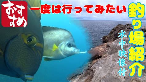 【釣り場紹介】和歌山県 白浜町 【オキク】石鯛、ハマチ、カツオ、イサキ、グレ、アオリイカ等が釣れるポイント 水中映像有り Youtube