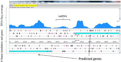identification of srna annotated to rfam the figure shows