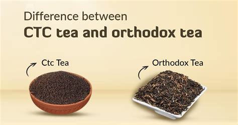 Comparing Ctc Tea Vs Orthodox Tea Exploring The Differences