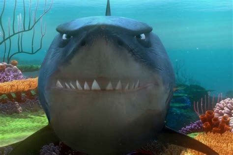 Bruce Finding Nemo On Tumblr
