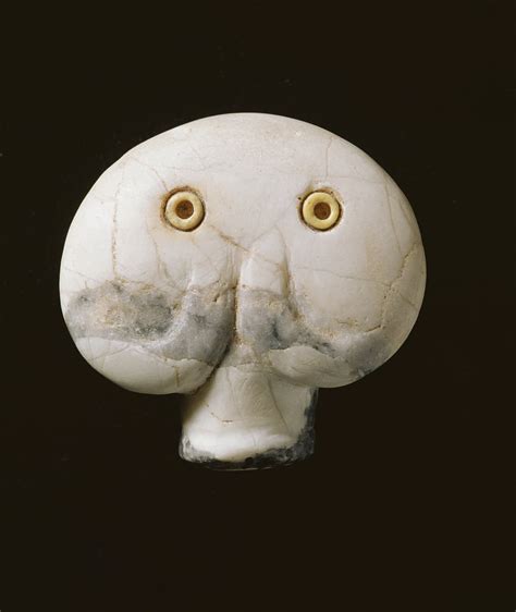 Best Serpentine Images On Pholder Ninjago Artefact Porn And Interestingasfuck