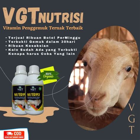 VGT Nutrisi Vitamin Sapi Vitamin Kambing Penggemuk Sapi Penggemuk