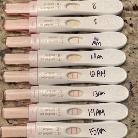 Frer Line Progression Glow Community