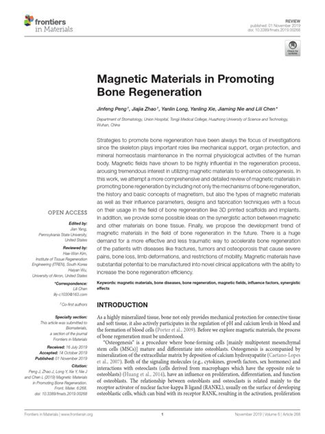 Magnetic Materials In Promoting Bone Regeneration Pdf Osteoblast Bone