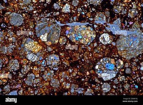 Nwa Meteorite Slide Section Polarized Photomicrograph Chondrule Rich