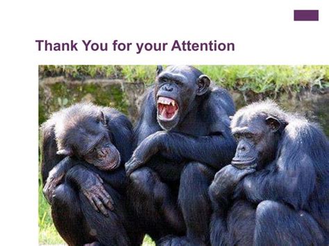 Sap Erp Overview For Laymen Pptx Computing Technology And Computing