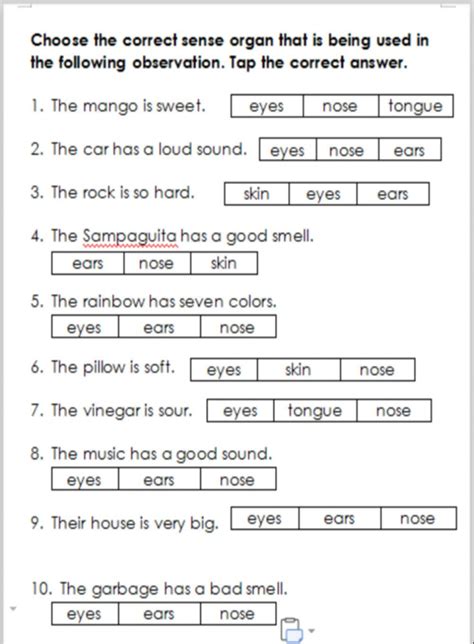 Evs Worksheet For Grade 2 Artofit