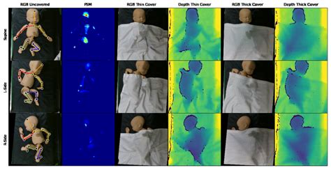 Examples From The Smal Dataset Rgb Depth And Psm Are Shown Under