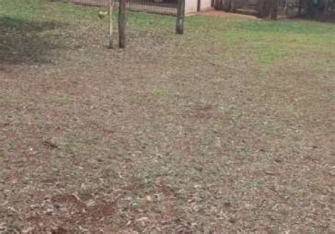 Fazendas à venda na Zona Rural em Goiatuba Chaves na Mão