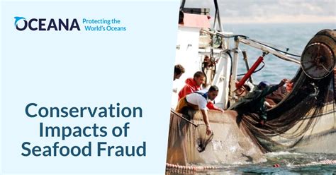 Conservation Impacts Of Seafood Fraud Oceana
