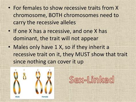 Ppt 14 1 Human Heredity Powerpoint Presentation Free Download Id