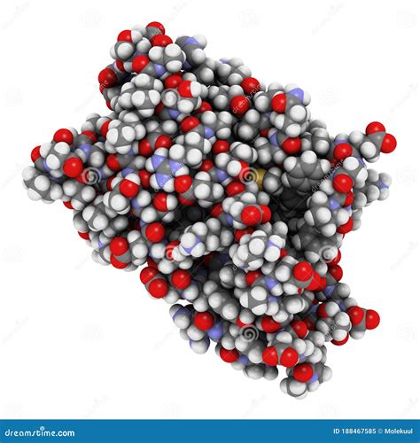 Birch Pollen Allergen Protein Bet V1 3d Rendering Atoms Are