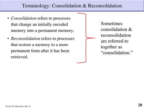 Ppt Finish The Generation Effect Then Memory Consolidation Powerpoint Presentation Id 2202644