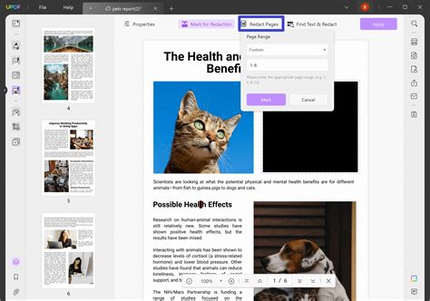 What Is Redact Pdf And How To Redact Pdf Updf