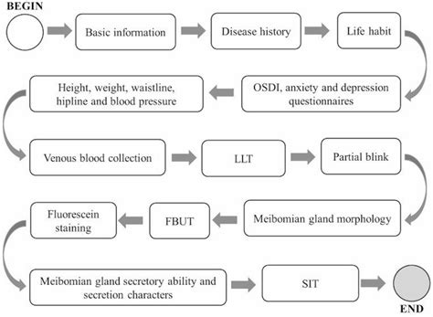 Examination Flowing Chart Osdi Ocular Surface Disease Index Download Scientific Diagram